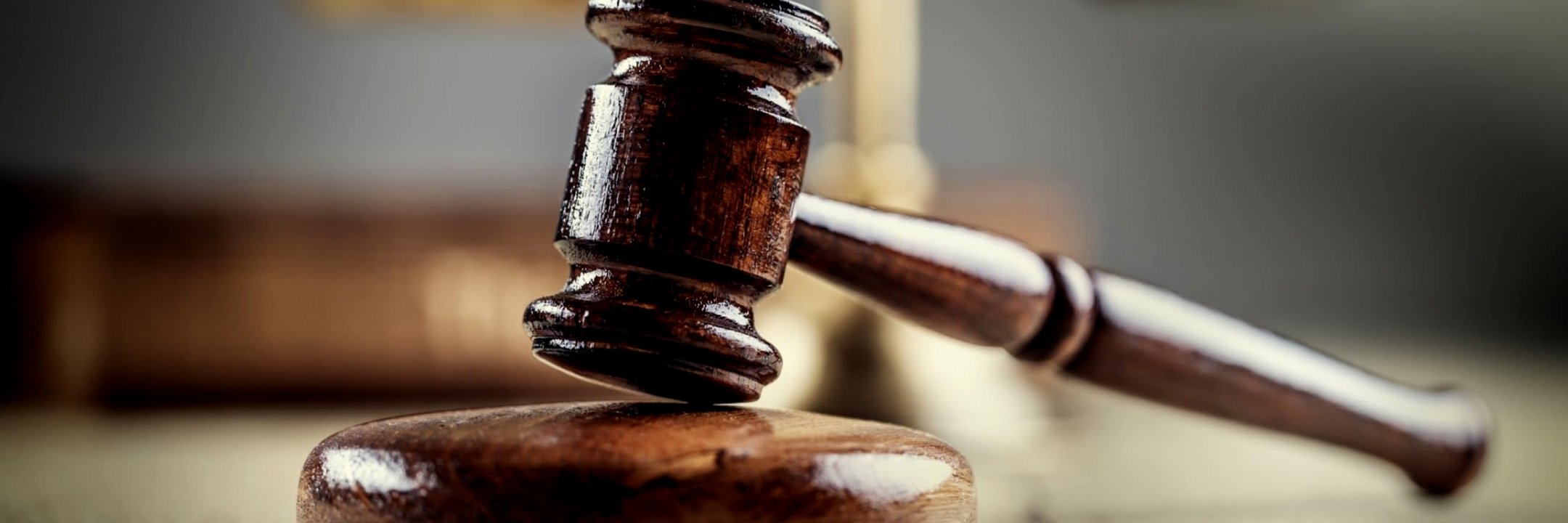 Our Independent Panels and Tribunals - Securities and Exchange ...